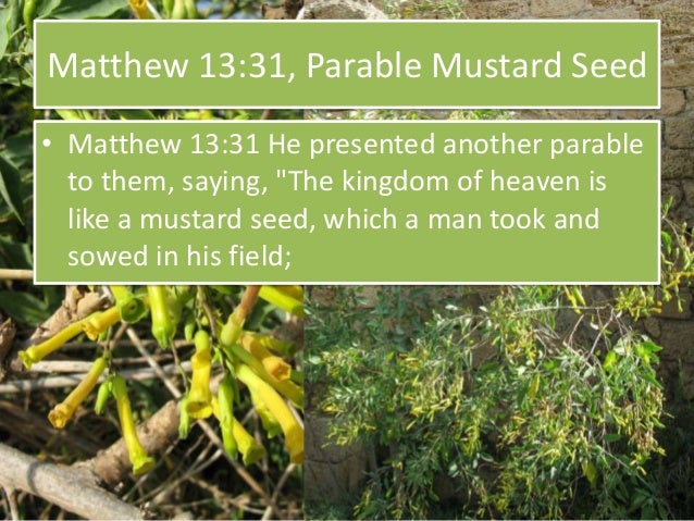 Matthew 13, Sow Your Seed Recklessly, Why Speak In Parables, Las…