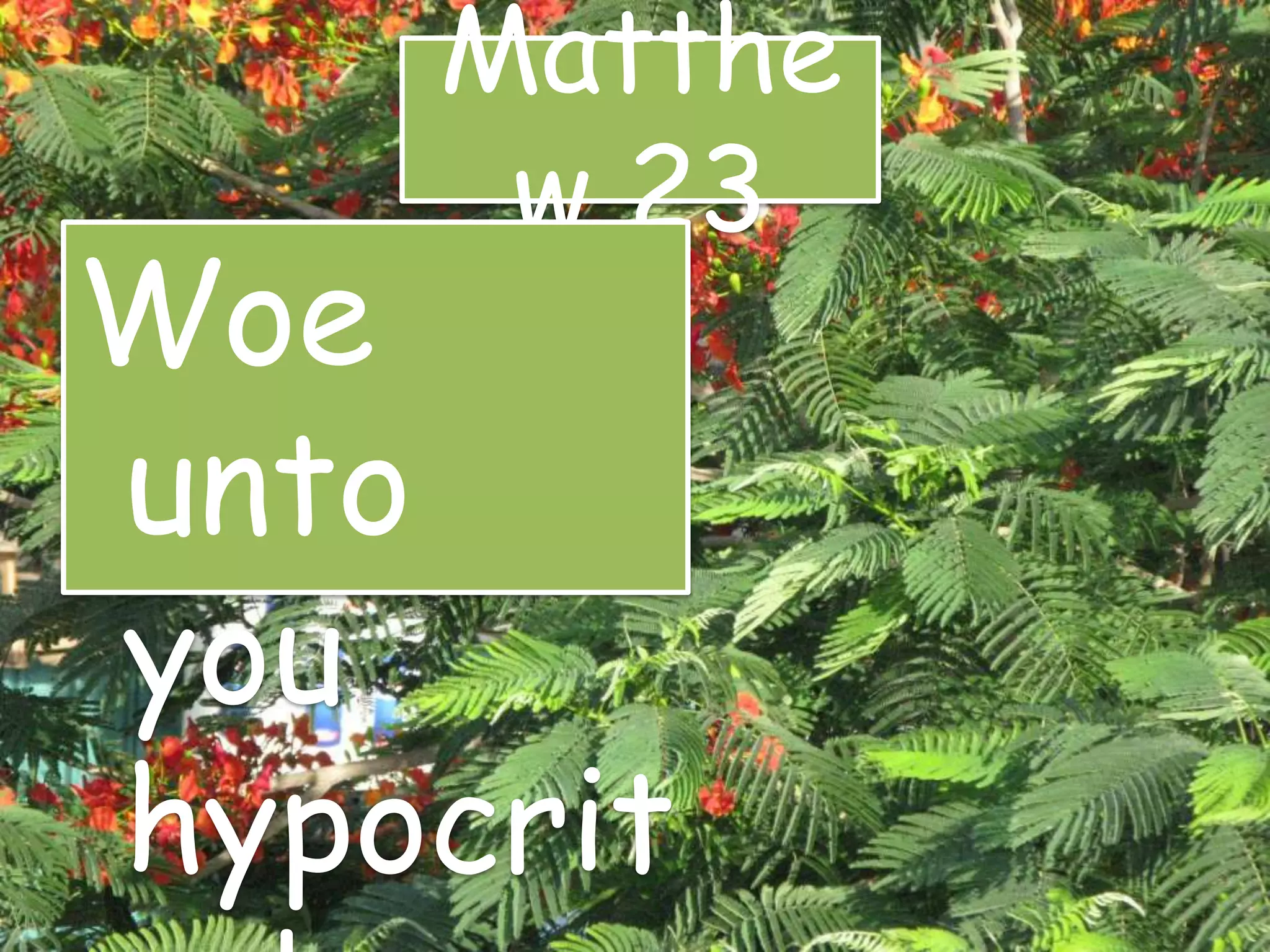 Matthew 23, unwilling, chair of moses seat, burdens, phylacteries ...