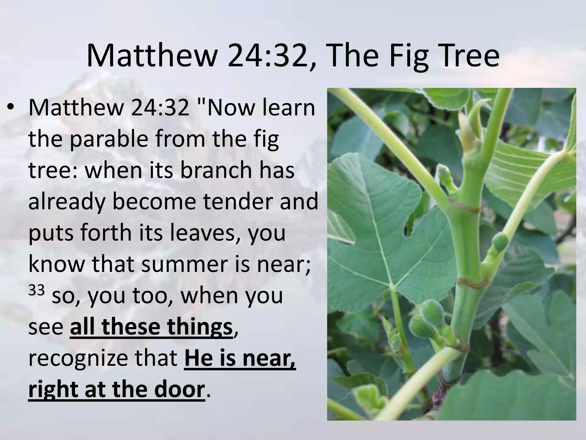 Matthew 24;32 51, This generation will not pass away... Jesus the ...