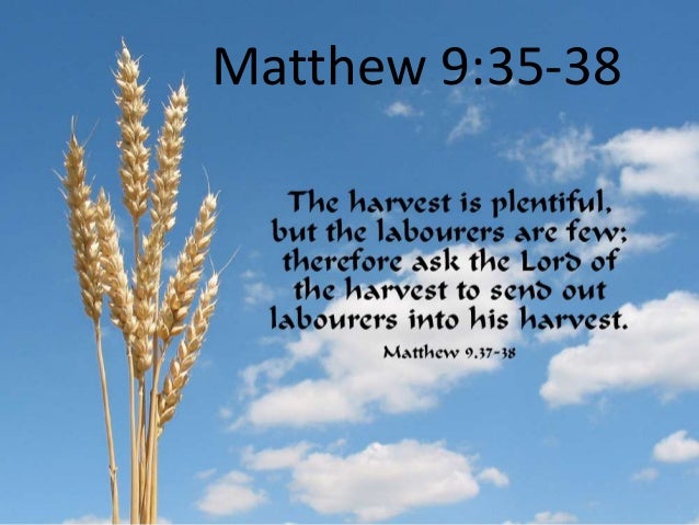 Matthew 9 Ten Powerful Miraculous Proofs That Jesus Is King Of The matthew-9-ten-powerful-miraculous-proofs-that-jesus-is-king-of-the