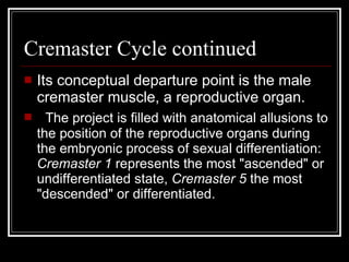 Matthew barney | PPT