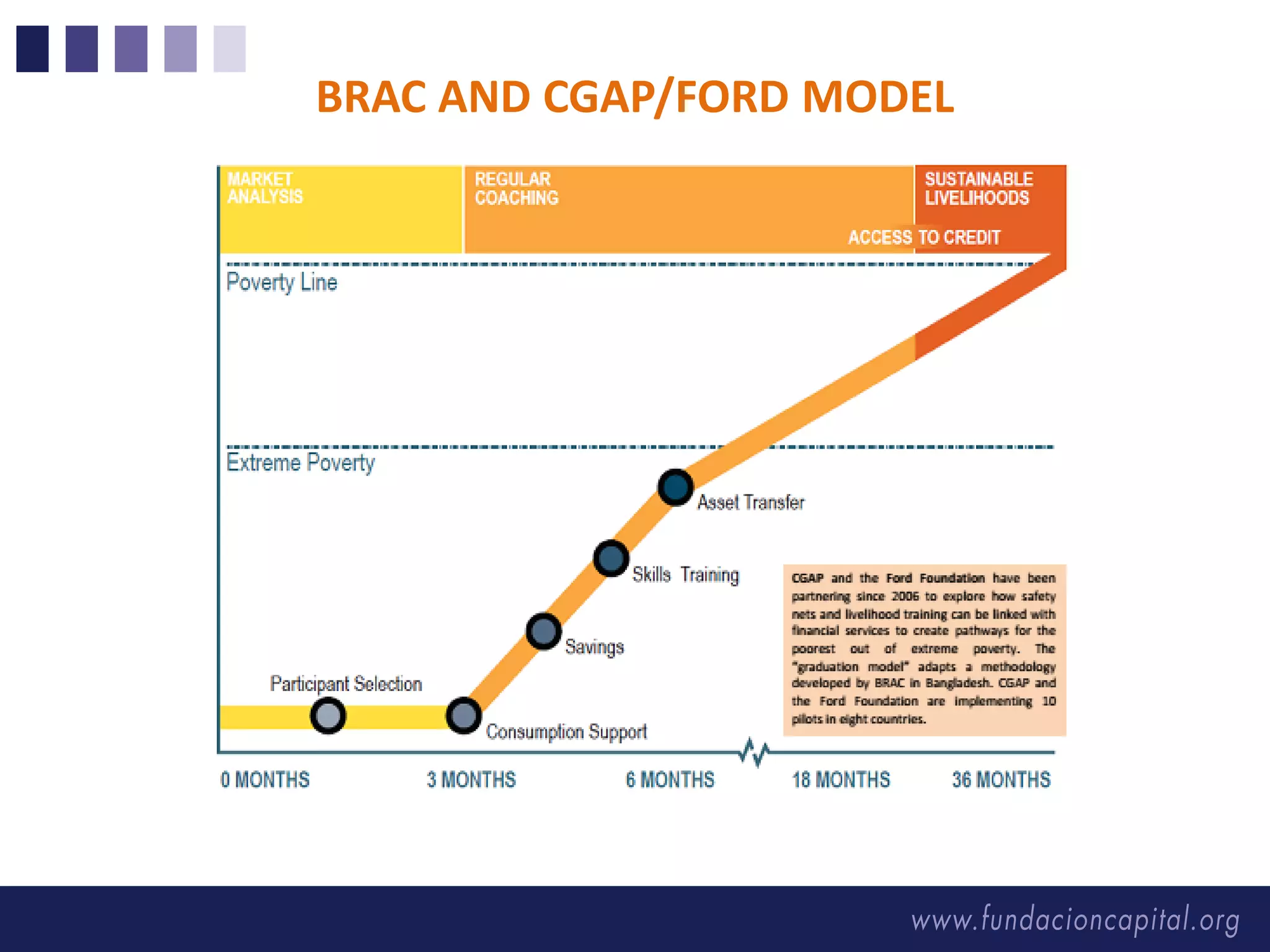 Matthew Bird: The ultra poor graduation project at fundación capital | PDF