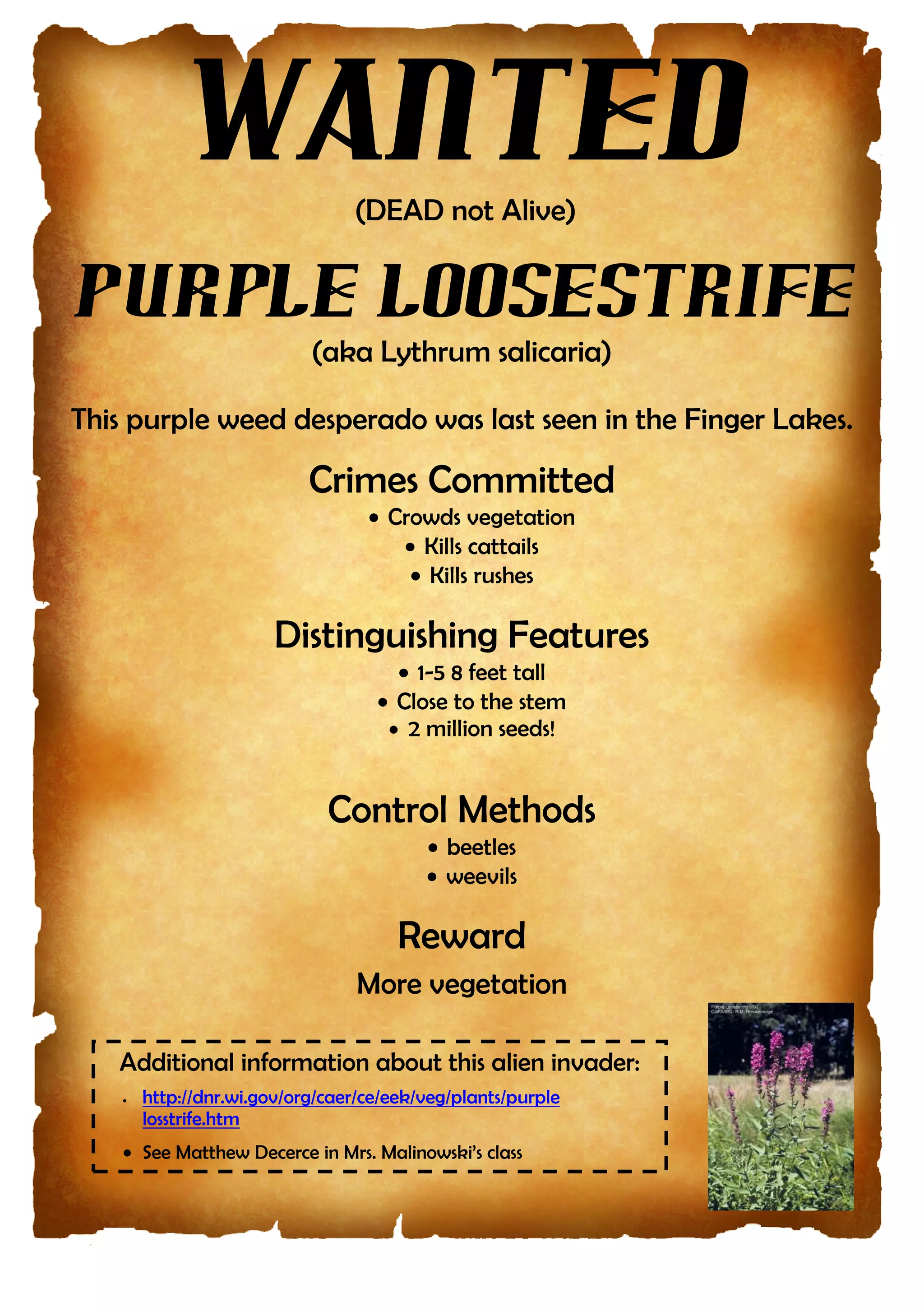 Matthew decerce | PDF