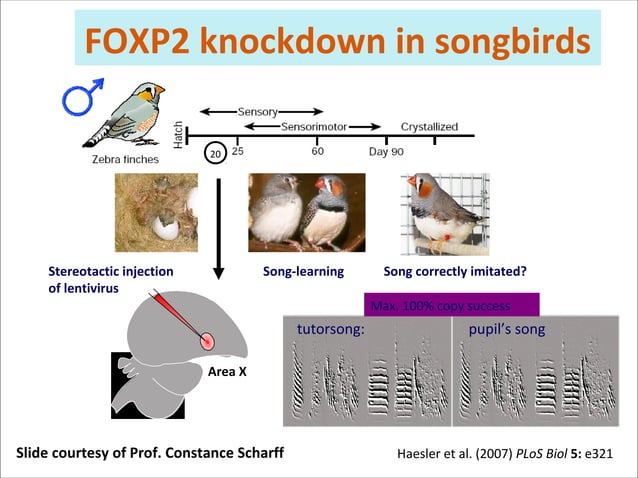 Matthew ridley presentation[1] | PPT