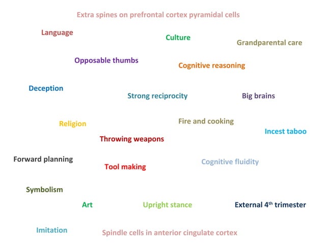 Matthew ridley presentation[1] | PPT