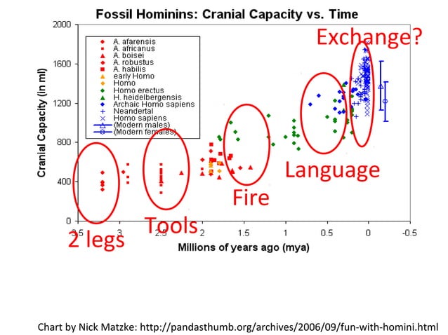 Matthew ridley presentation[1] | PPT