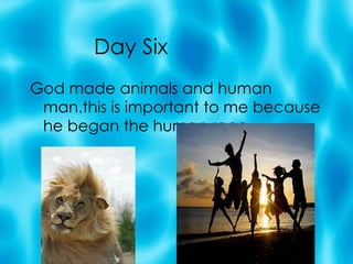 Mattew SlideShow | PPT