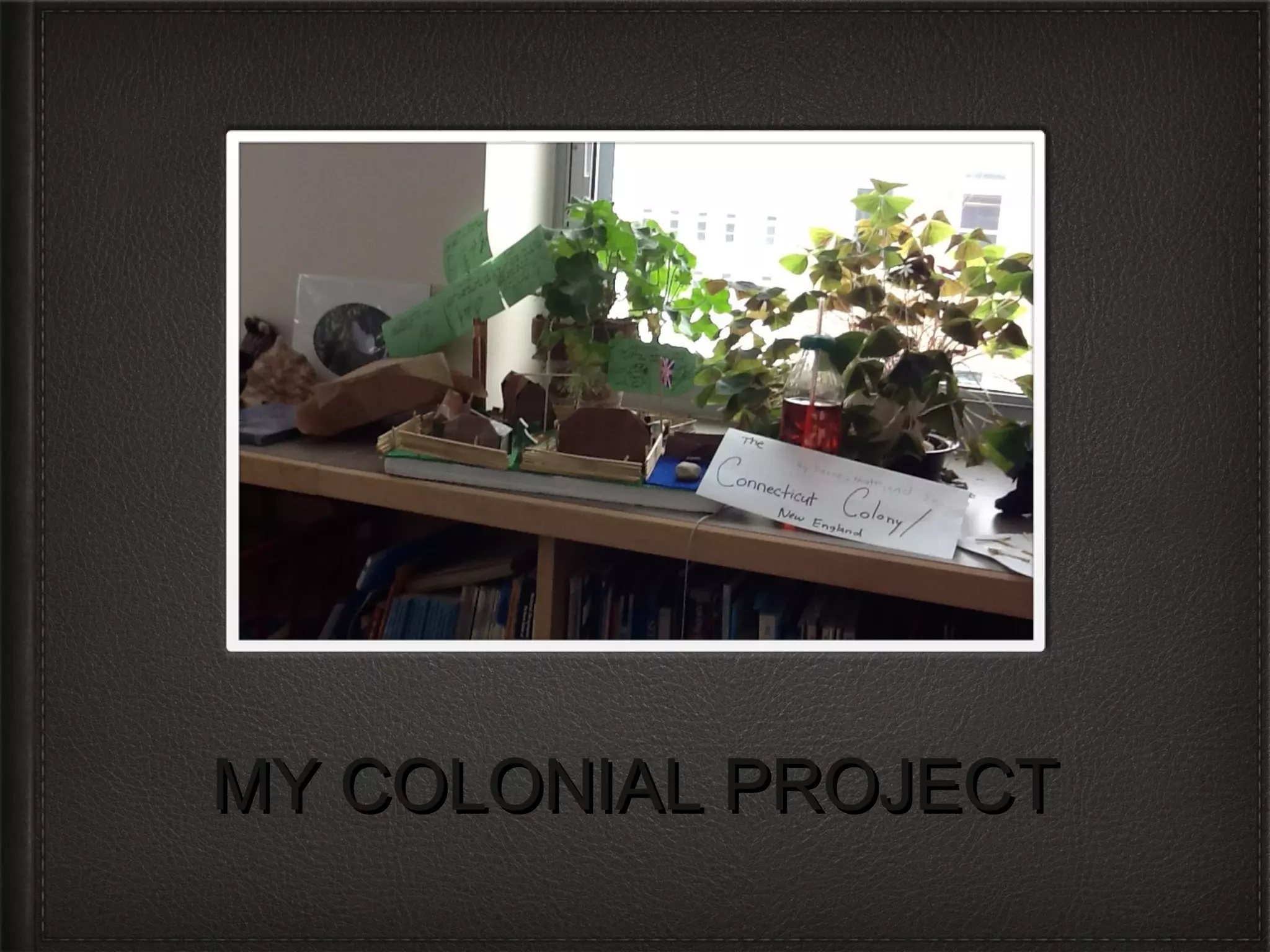 Matthew's colonial project(walsh) | PPT