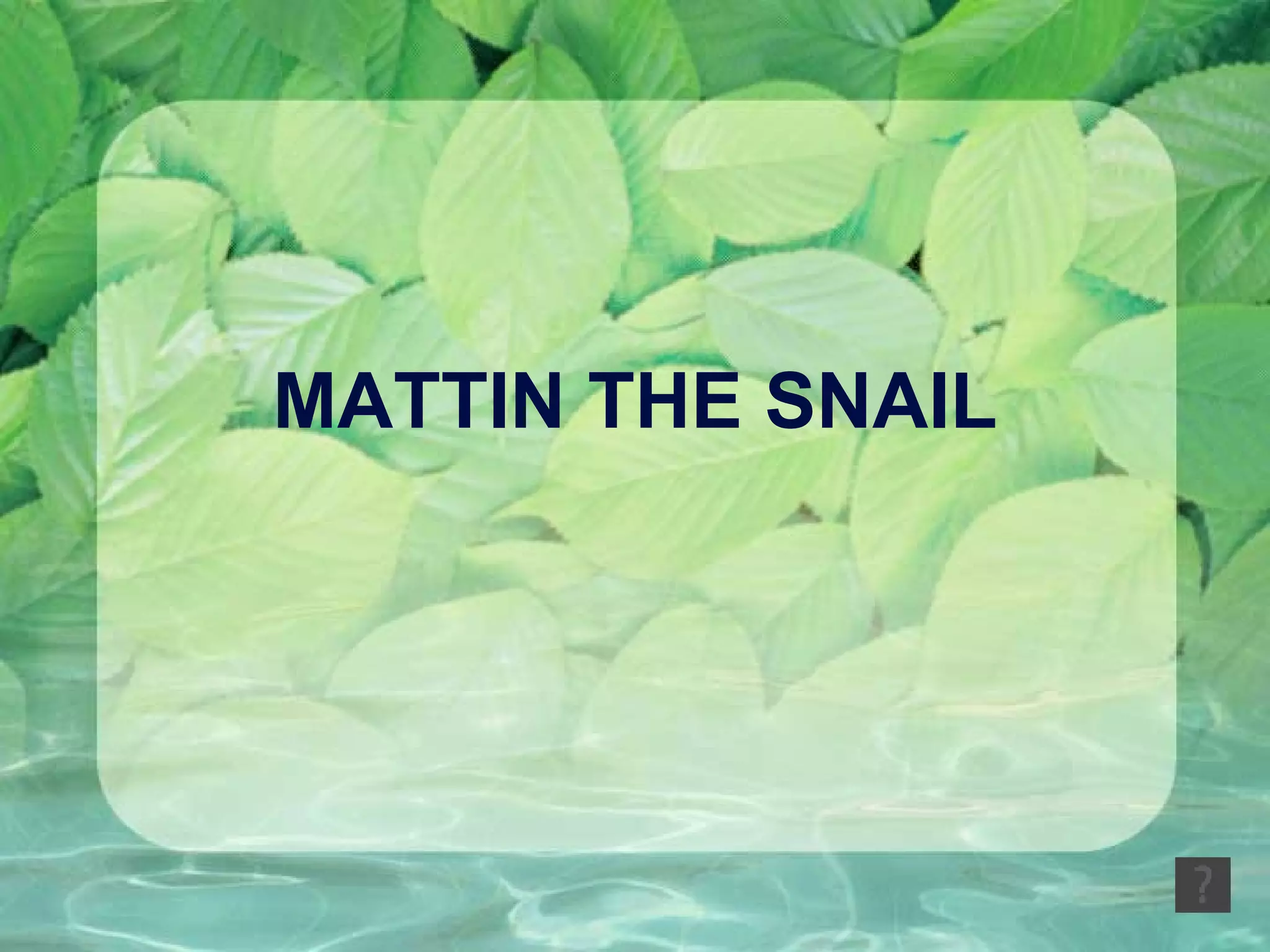 Mattin the snail | PPT