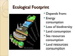 Ecological and carbon footprint | PPT