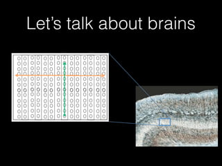 Hierarchical Temporal Memory: Computing Like the Brain - Matt Taylor, Numenta | PPT