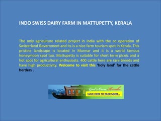 Mattupetty Dairy Farm