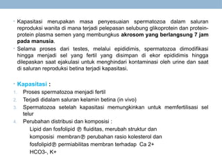Maturasi_dan_Kapasitasi_FIX.pptx yang merupakan materi pada SUPM | PPTX