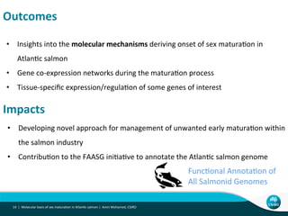 Molecular basis of sex maturation in Atlantic salmon: Integrated ...