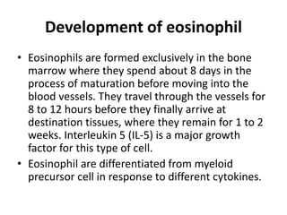 Maturation of eosinophil | PPTX