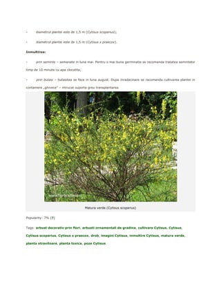 Matura verde | DOCX