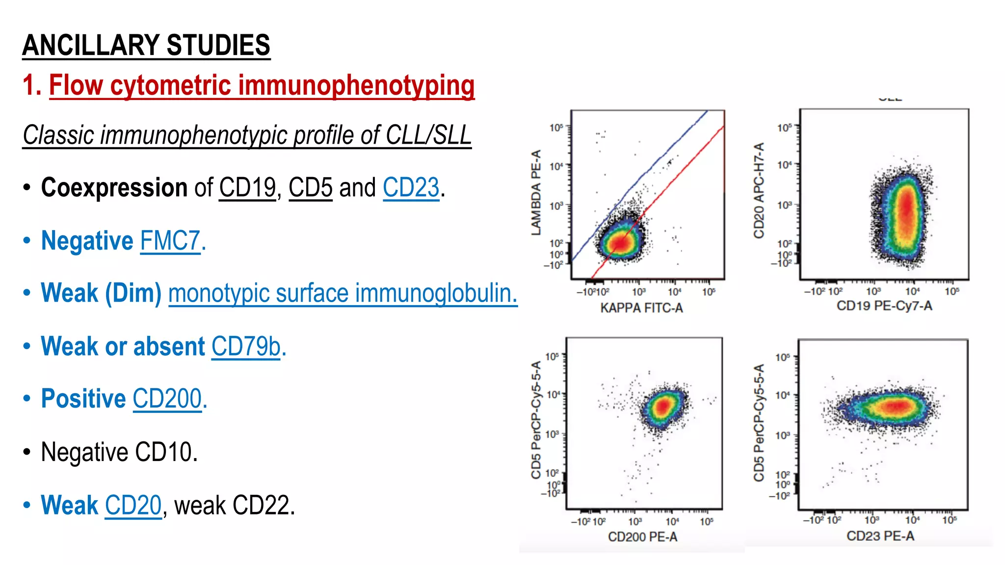 Mature B-cell Neoplasms | PDF