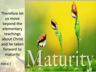 Maturity | PPT