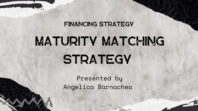 Financing Strategy: Maturity Matching Strategy | PDF