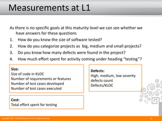Test Process Maturity Measurement and Related Measurements | PDF