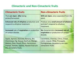 maturity and ripening | PPTX