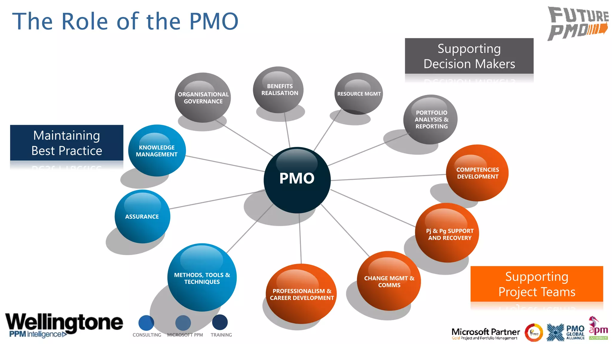 Enabling a Step Change in Project Management Maturity...Use Your PMO ...