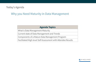 Maturity in Data Management - Why do I need it? | PDF