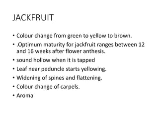 Maturity indices for harvesting fruits | PPTX