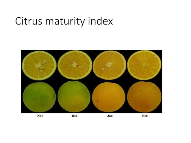 Maturity indices for harvesting fruits | PPTX