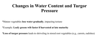 Maturity Indices in different horticultural crops | PPTX