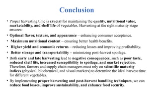 Maturity Indices in different horticultural crops | PPTX