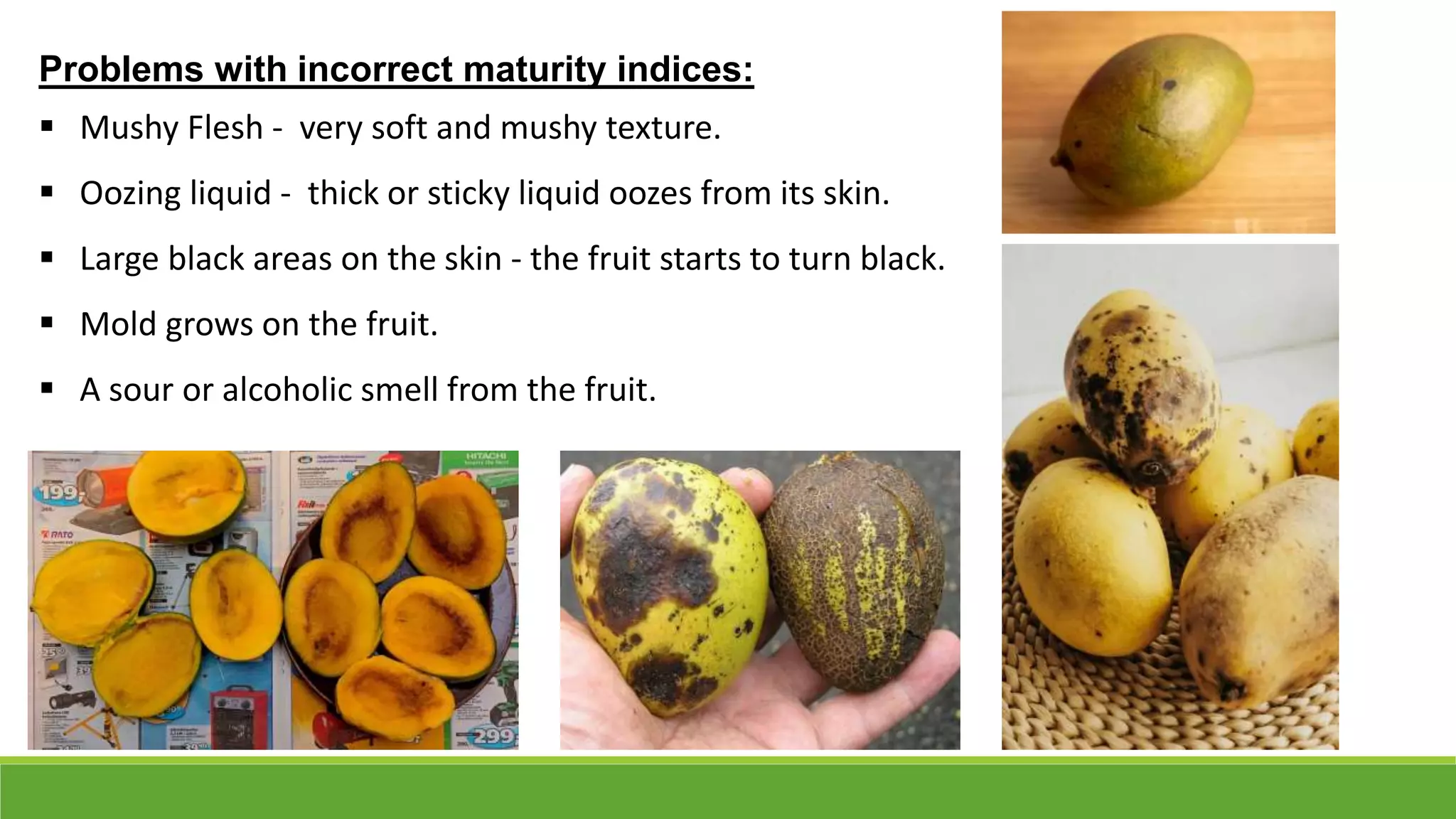 Maturity Indices Of Fruit And Vegetable.pptx