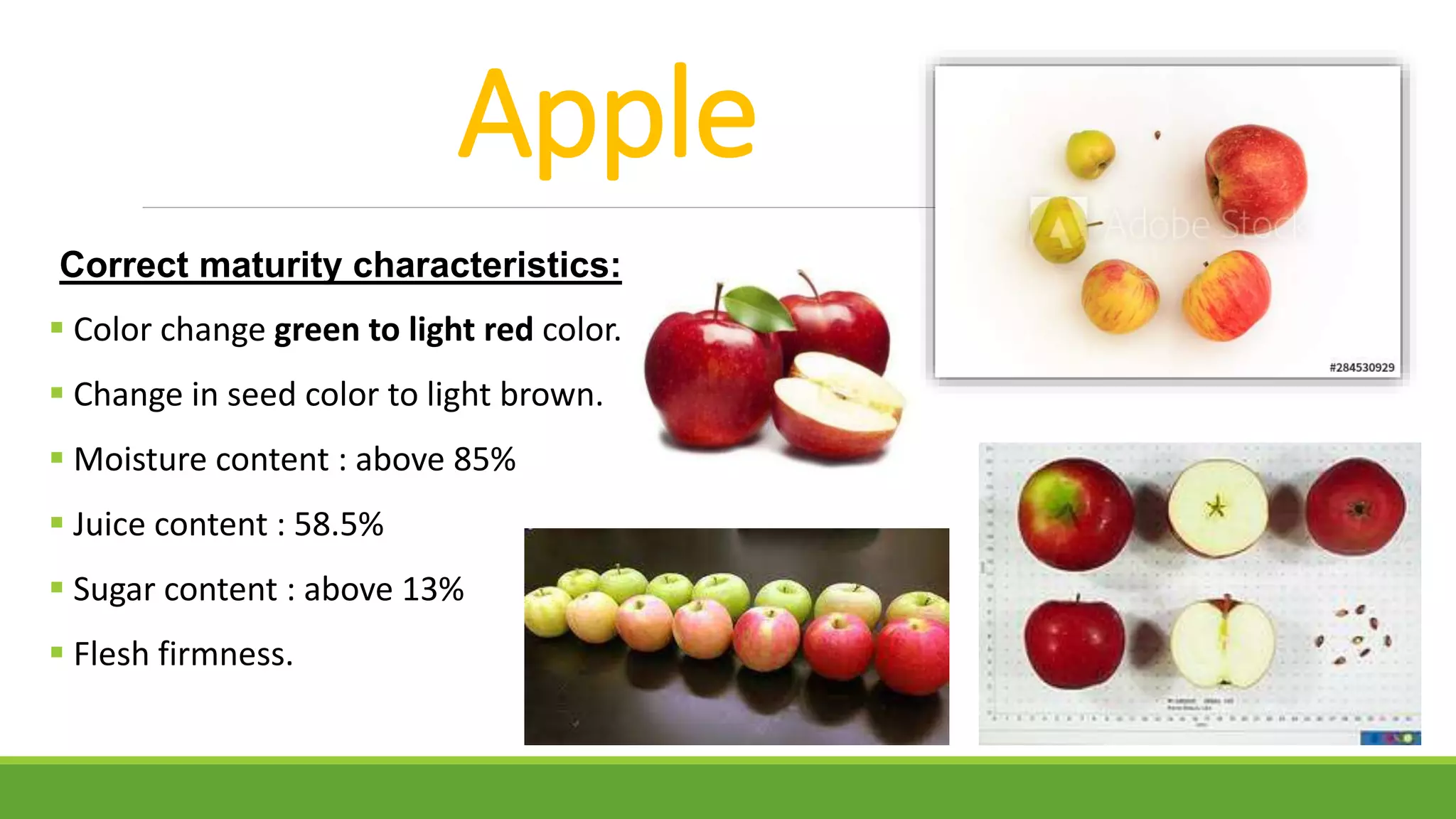 Maturity Indices Of Fruit And Vegetable.pptx