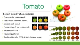 Maturity Indices Of Fruit And Vegetable.pptx