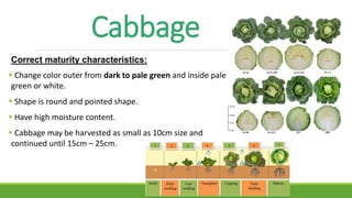Maturity Indices Of Fruit And Vegetable.pptx