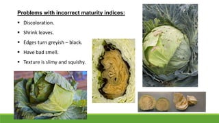 Maturity Indices Of Fruit And Vegetable.pptx