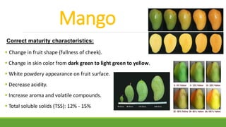 Maturity Indices Of Fruit And Vegetable.pptx