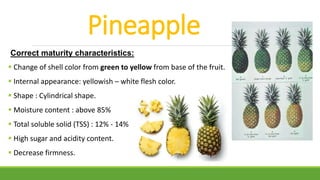 Maturity Indices Of Fruit And Vegetable.pptx