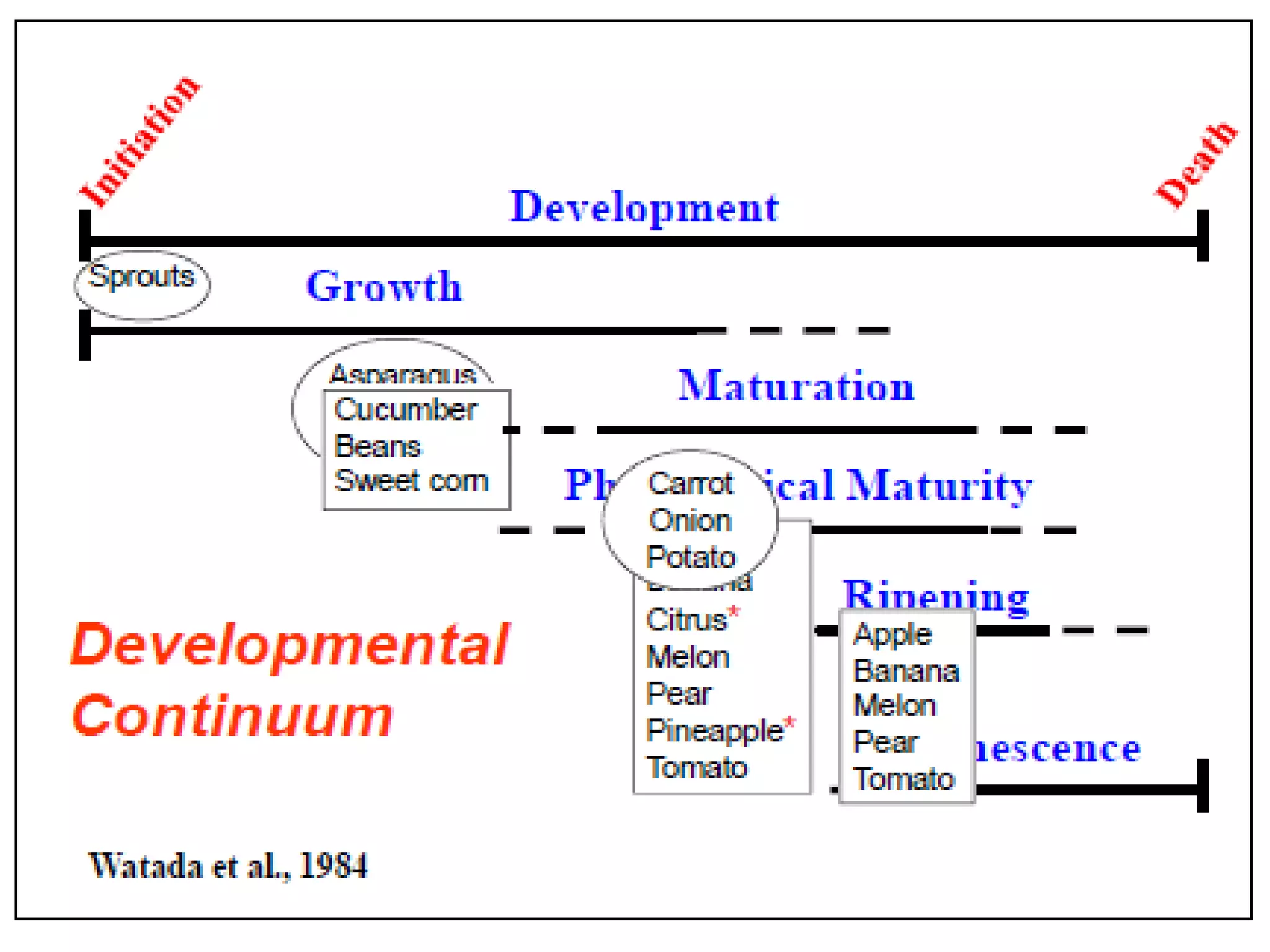 Maturity indices of fruits and vegetables | PPTX