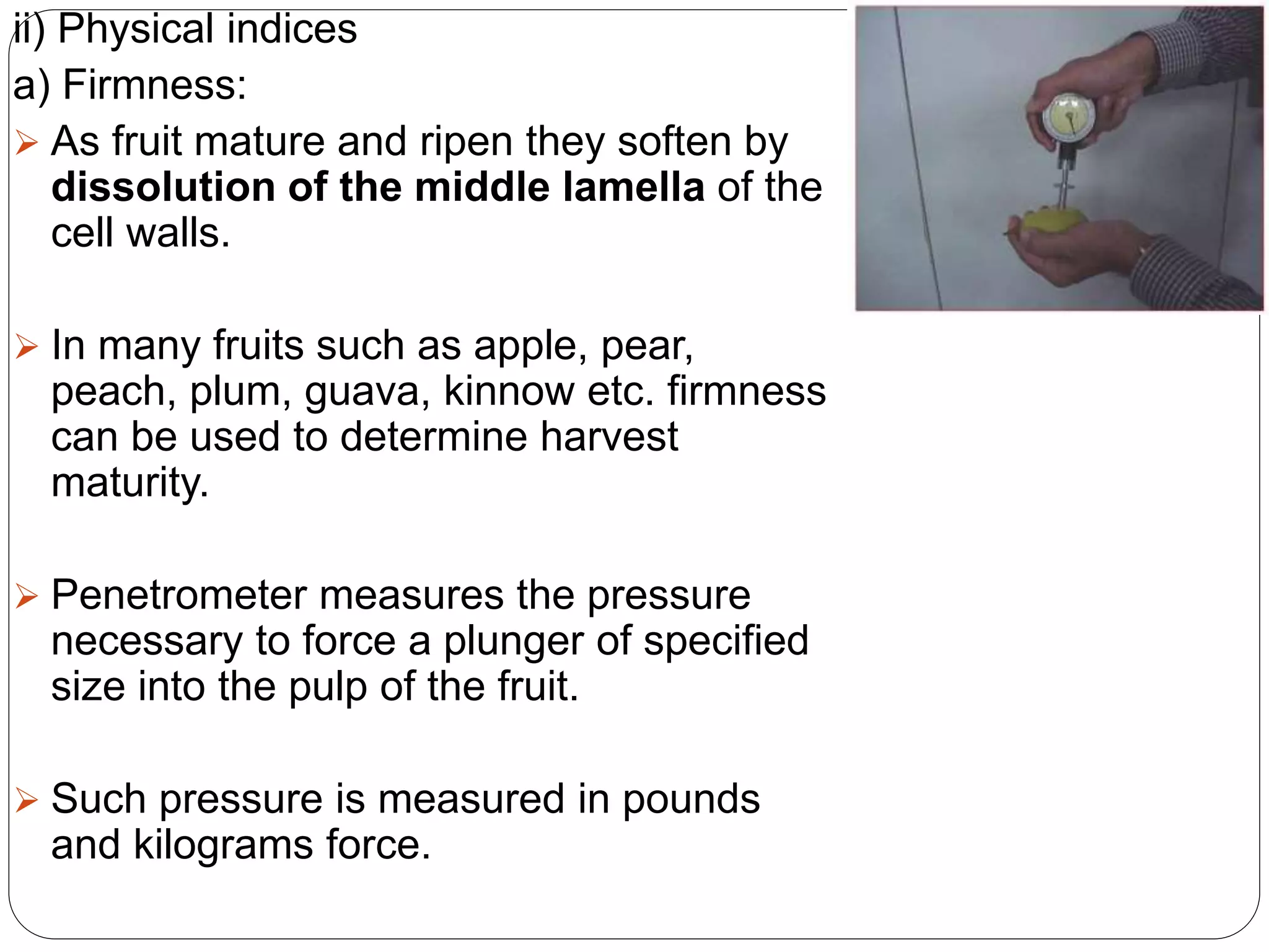 Maturity indices of fruits and vegetables | PPTX