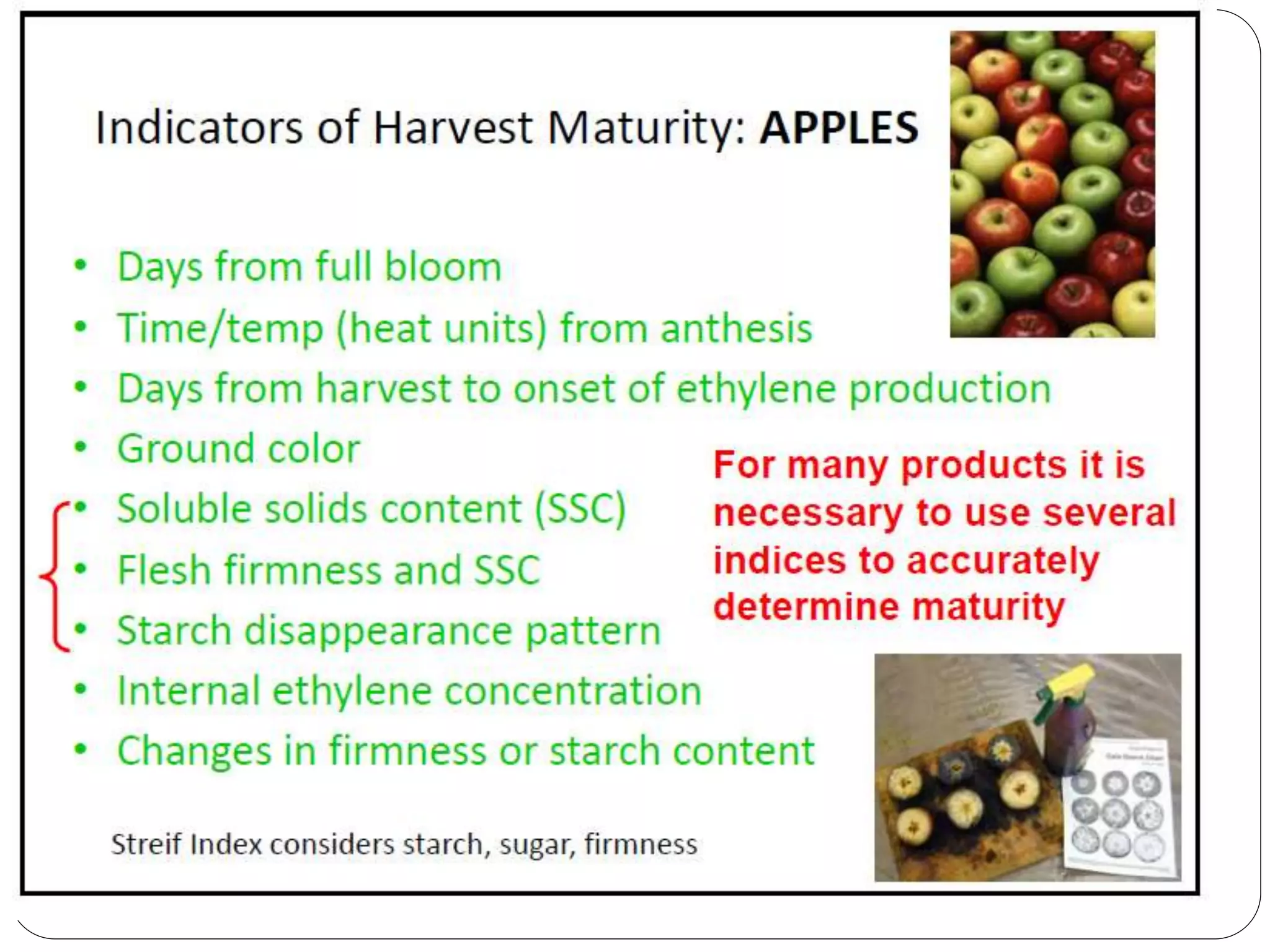 Maturity indices of fruits and vegetables | PPTX