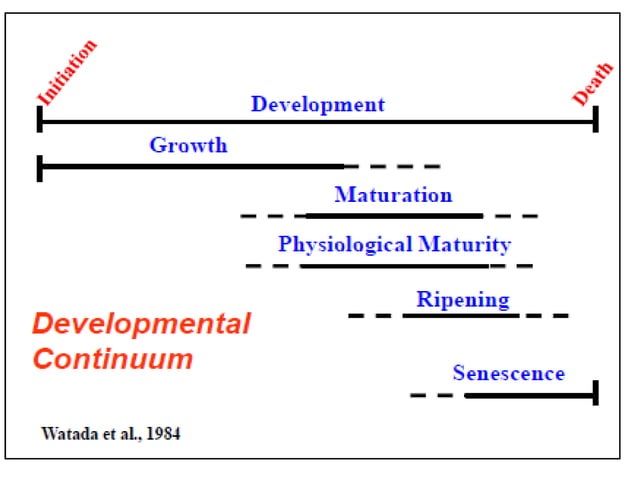 Maturity indices of fruits and vegetables | PPTX | Agriculture | Industries