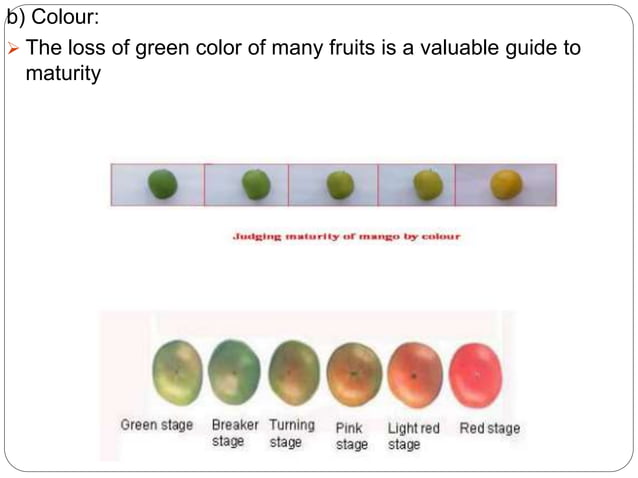 Maturity indices of fruits and vegetables | PPTX | Agriculture | Industries
