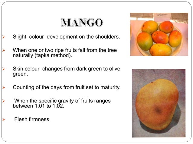 Maturity indices of fruits and vegetables | PPTX | Agriculture | Industries