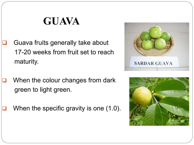 Maturity indices of fruits and vegetables | PPTX | Agriculture | Industries