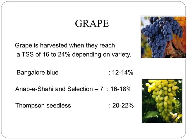 Maturity indices of fruits and vegetables | PPTX | Agriculture | Industries