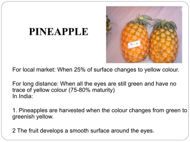Maturity indices of fruits and vegetables | PPTX | Agriculture | Industries