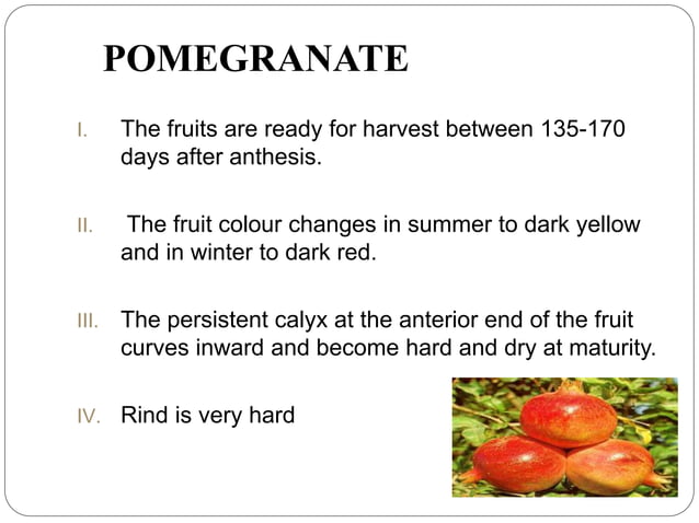 Maturity indices of fruits and vegetables | PPTX | Agriculture | Industries