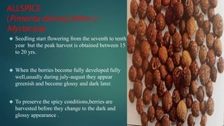 Maturity indices of spices | PPTX