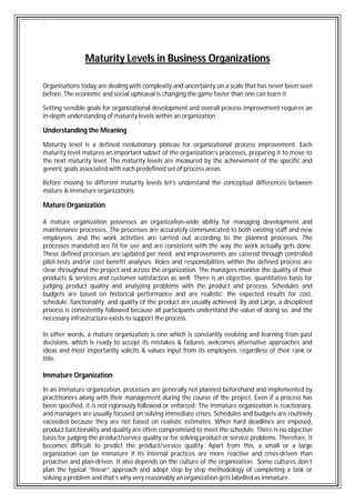 Maturity Levels in Business Organisations | PDF